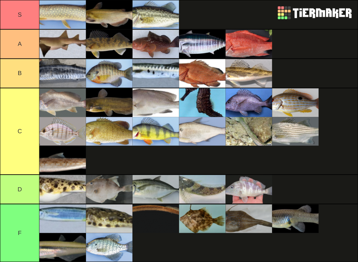 Breehl Fishing Tier List (Community Rankings) - TierMaker
