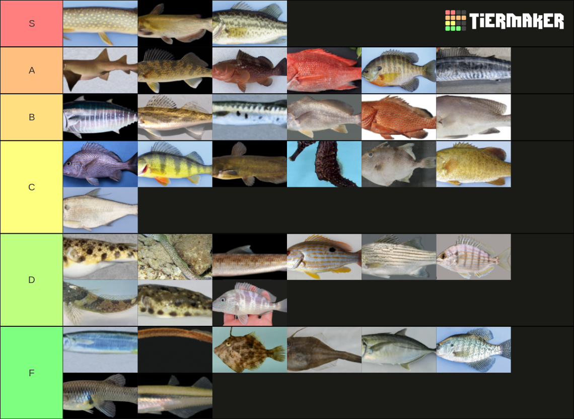 Breehl Fishing Tier List (Community Rankings) - TierMaker