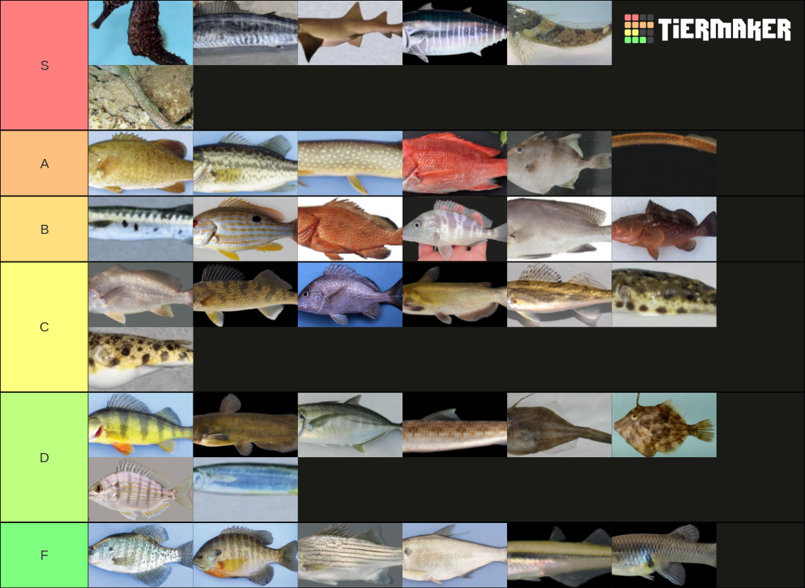 Breehl Fishing Tier List (Community Rankings) - TierMaker