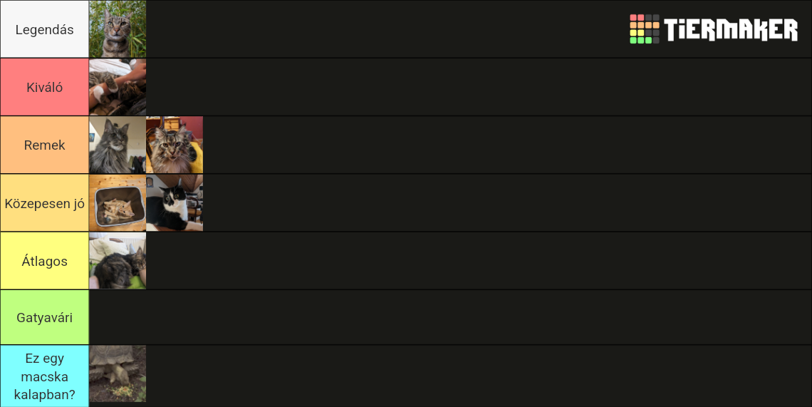 Cat Tier List (Community Rankings) - TierMaker