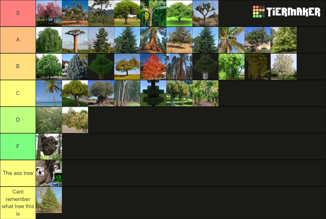 Tree Tier List (Community Rankings) - TierMaker