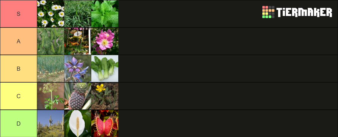 Flowering Plant Tier List (Community Rankings) - TierMaker
