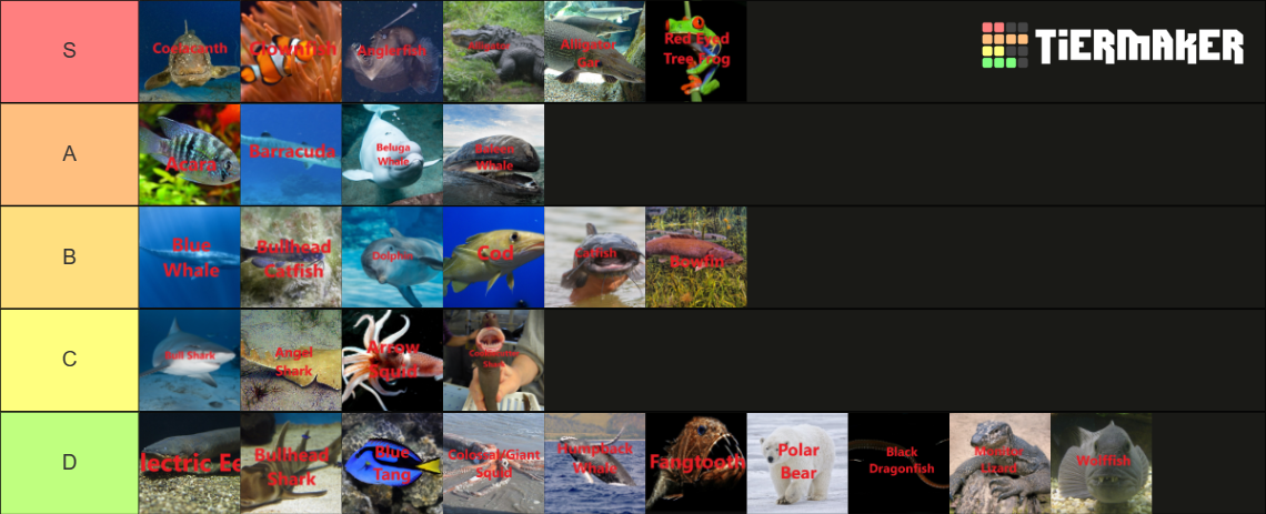 Aquatic Animals Tier List (Community Rankings) - TierMaker