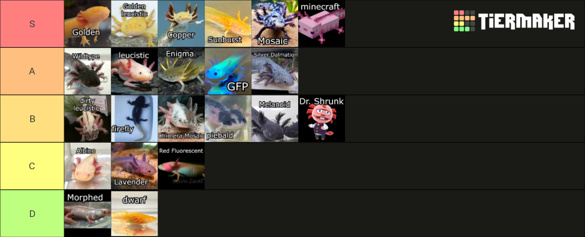 Axolotl types Tier List (Community Rankings) - TierMaker