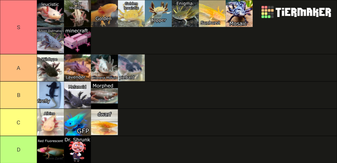Axolotl types Tier List (Community Rankings) - TierMaker