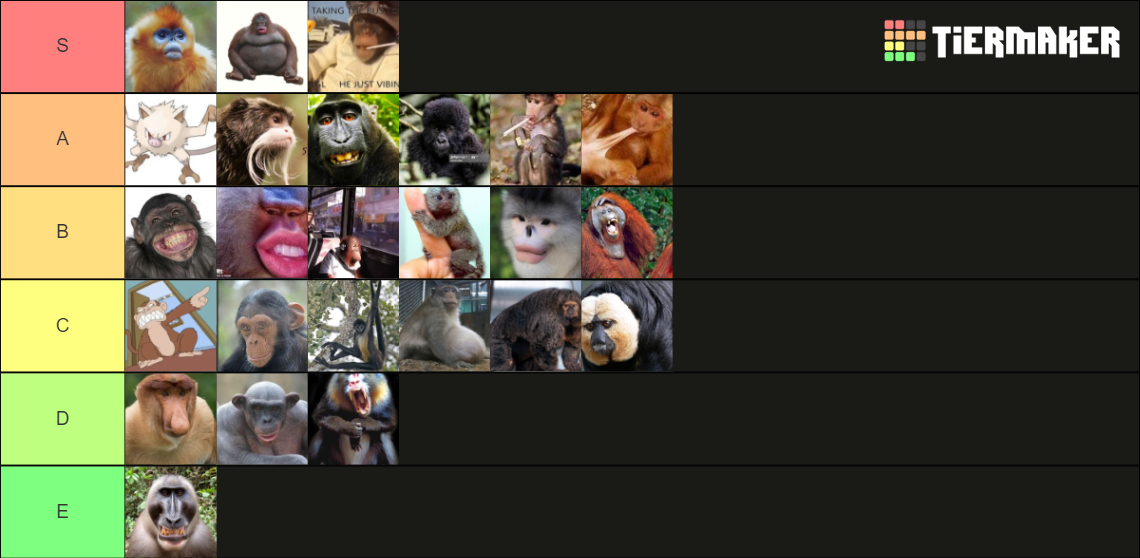 monkey Tier List (Community Rankings) - TierMaker