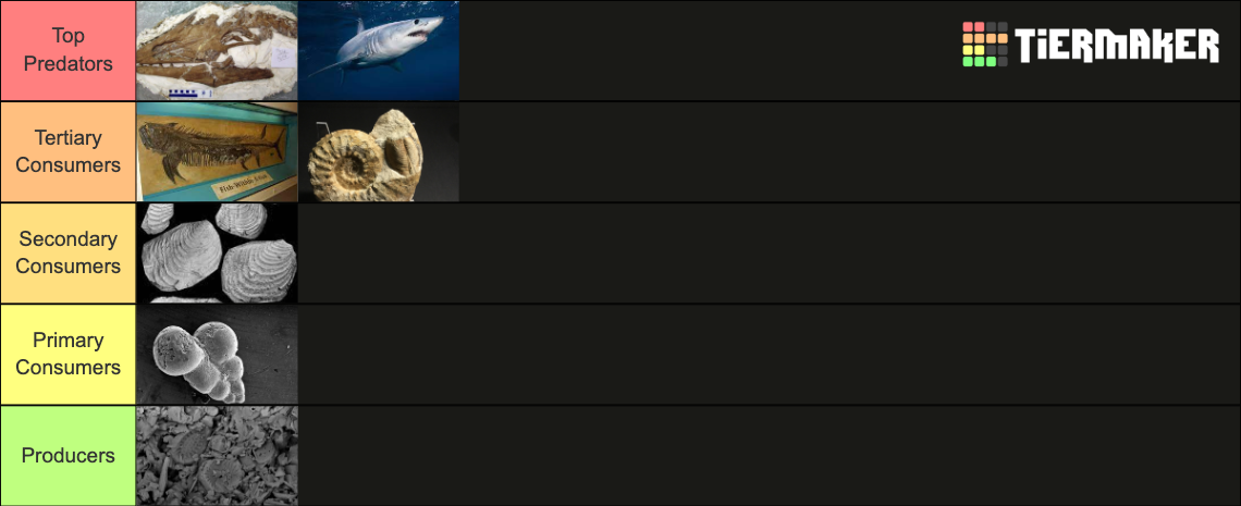 Late Coniacian Food Chain Tier List (Community Rankings) - TierMaker