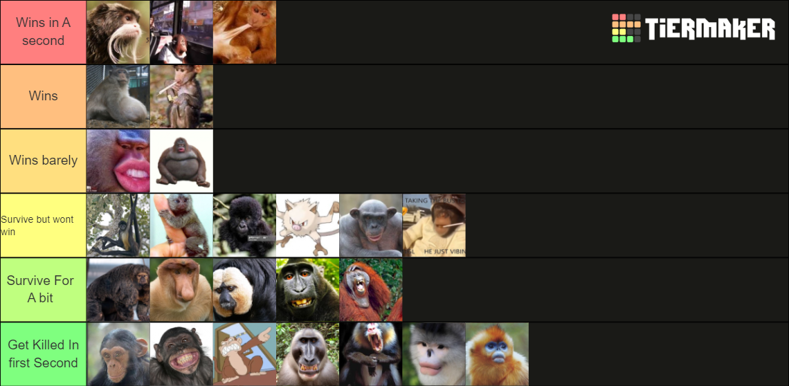 monkey Tier List (Community Rankings) - TierMaker
