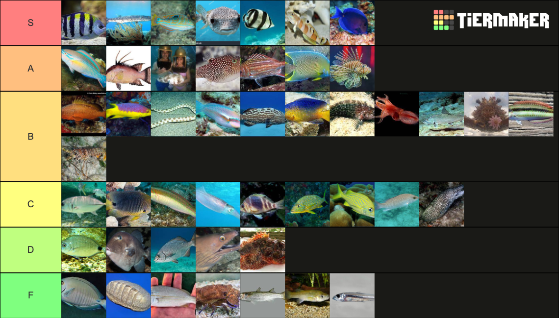 Bermuda Fish Tier List (Community Rankings) - TierMaker