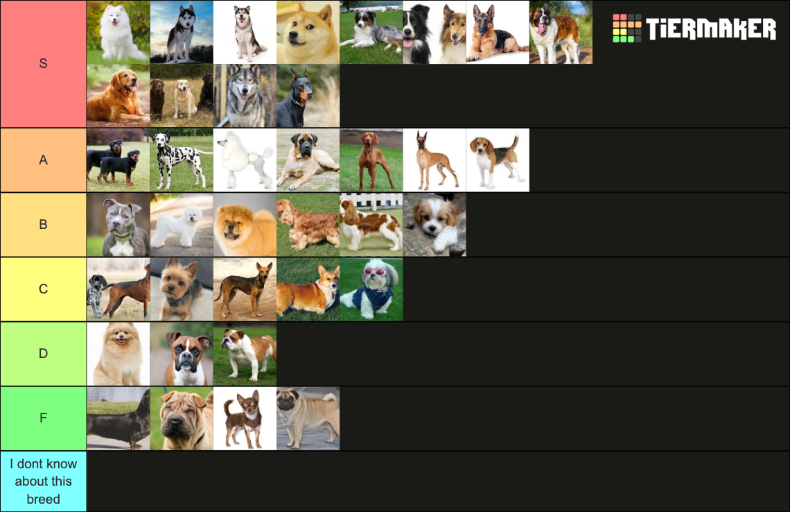 Dog breed Tier List (Community Rankings) - TierMaker