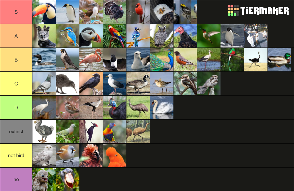 Bird Species Tier List (Community Rankings) - TierMaker