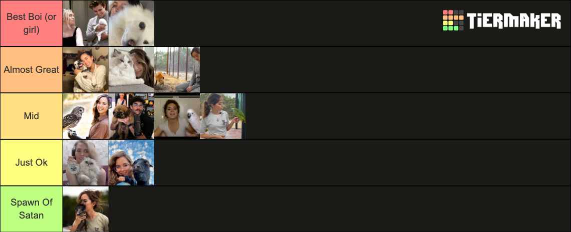 Streamer Pets Tier List (Community Rankings) - TierMaker