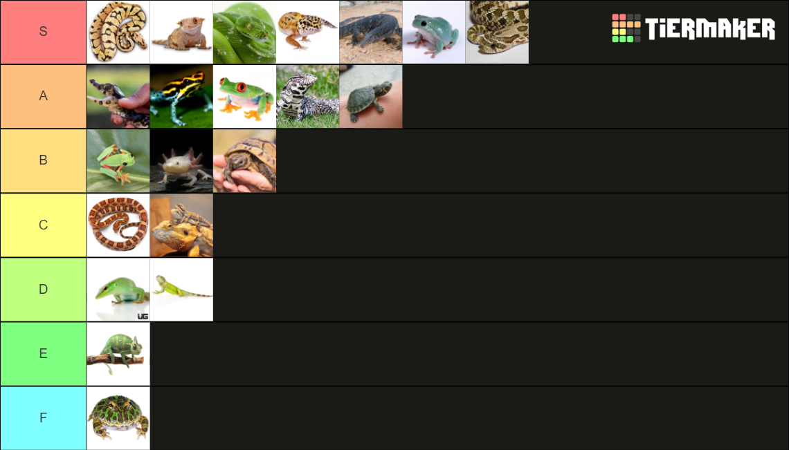 Reptile + Amphibian Tier List (Community Rankings) - TierMaker