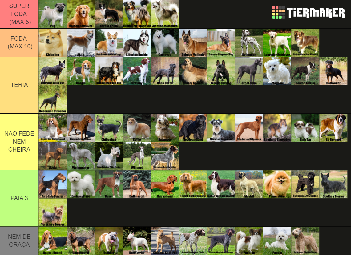 Dog Breeds Tier List (Community Rankings) - TierMaker