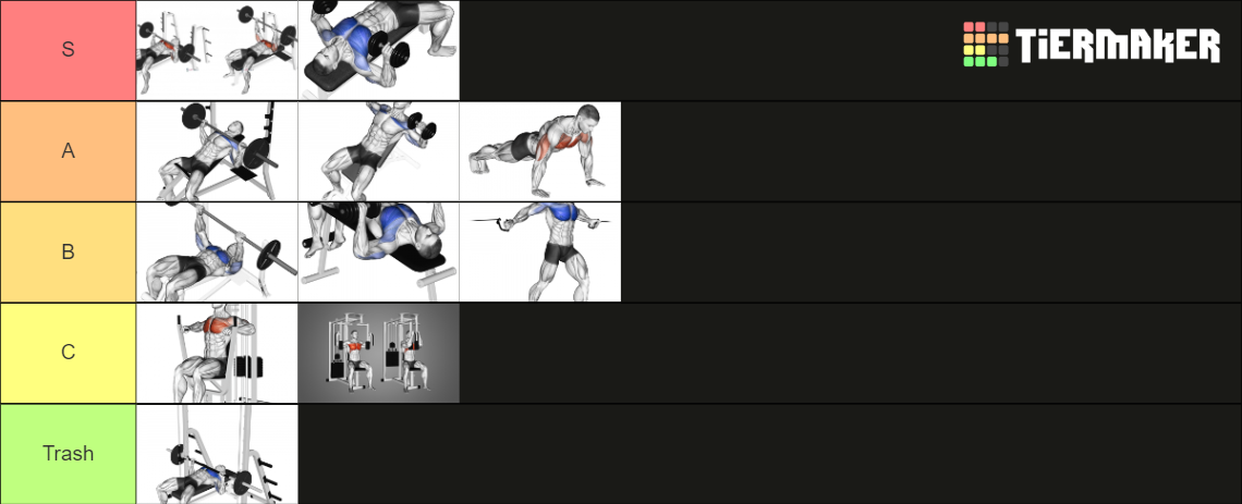 Chest Exercises In The Gym Tier List Community Rankings Tiermaker