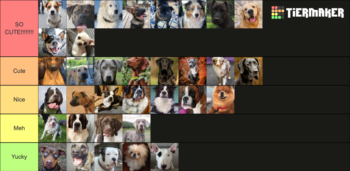 Dog breeds ranked Tier List (Community Rankings) - TierMaker