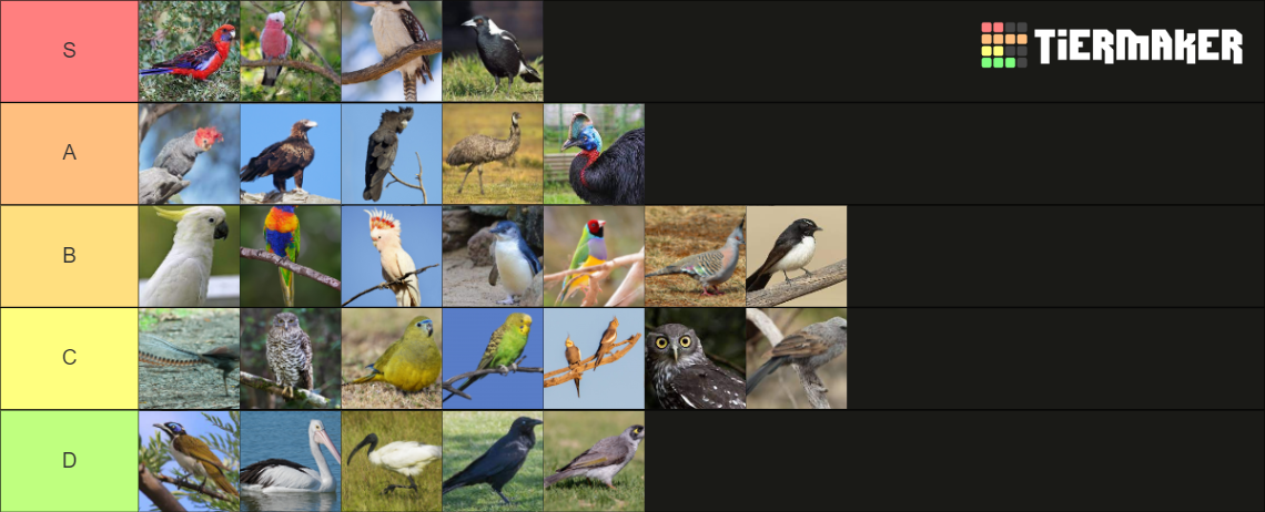 Australian Birds Tier List (Community Rankings) - TierMaker