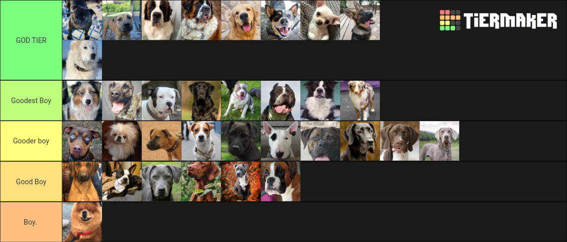 Dog breeds ranked Tier List (Community Rankings) - TierMaker