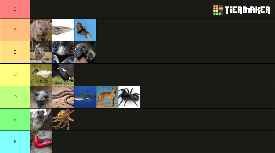 Australian Animals Tier List (Community Rankings) - TierMaker
