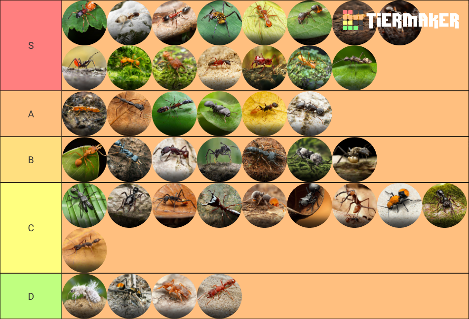 The Ants: Underground Kingdom - Orange Combat Special Ants Tier List ...