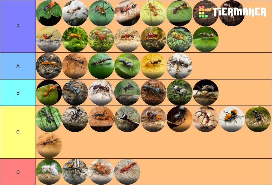 The Ants: Underground Kingdom - Orange Combat Special Ants Tier List ...
