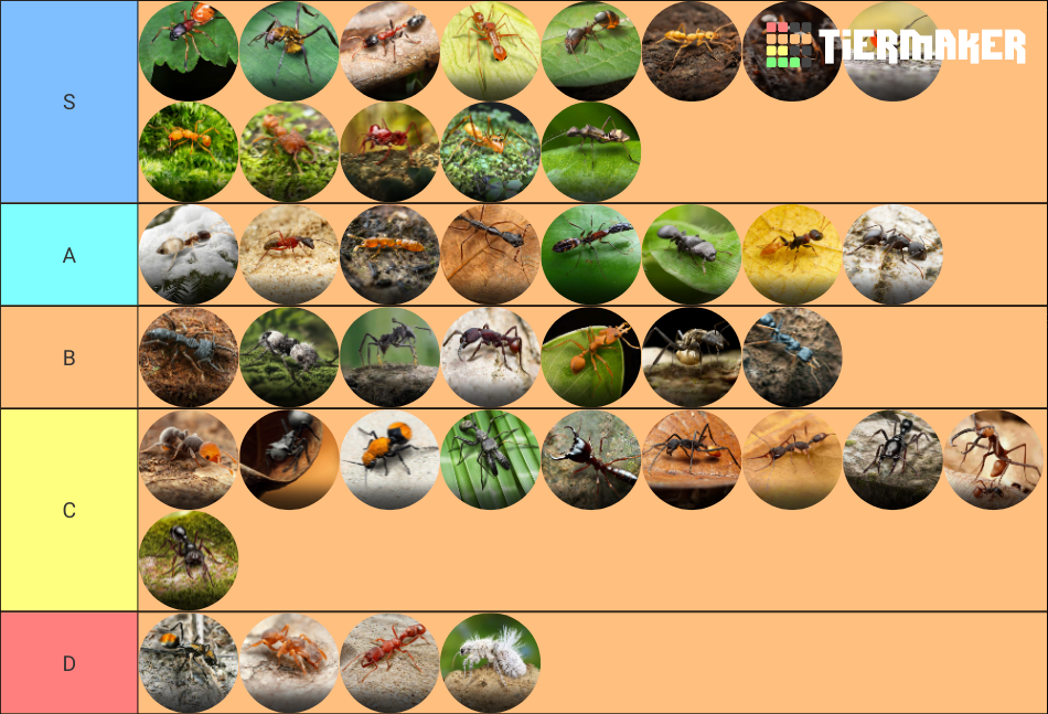 The Ants: Underground Kingdom - Orange Combat Special Ants Tier List ...
