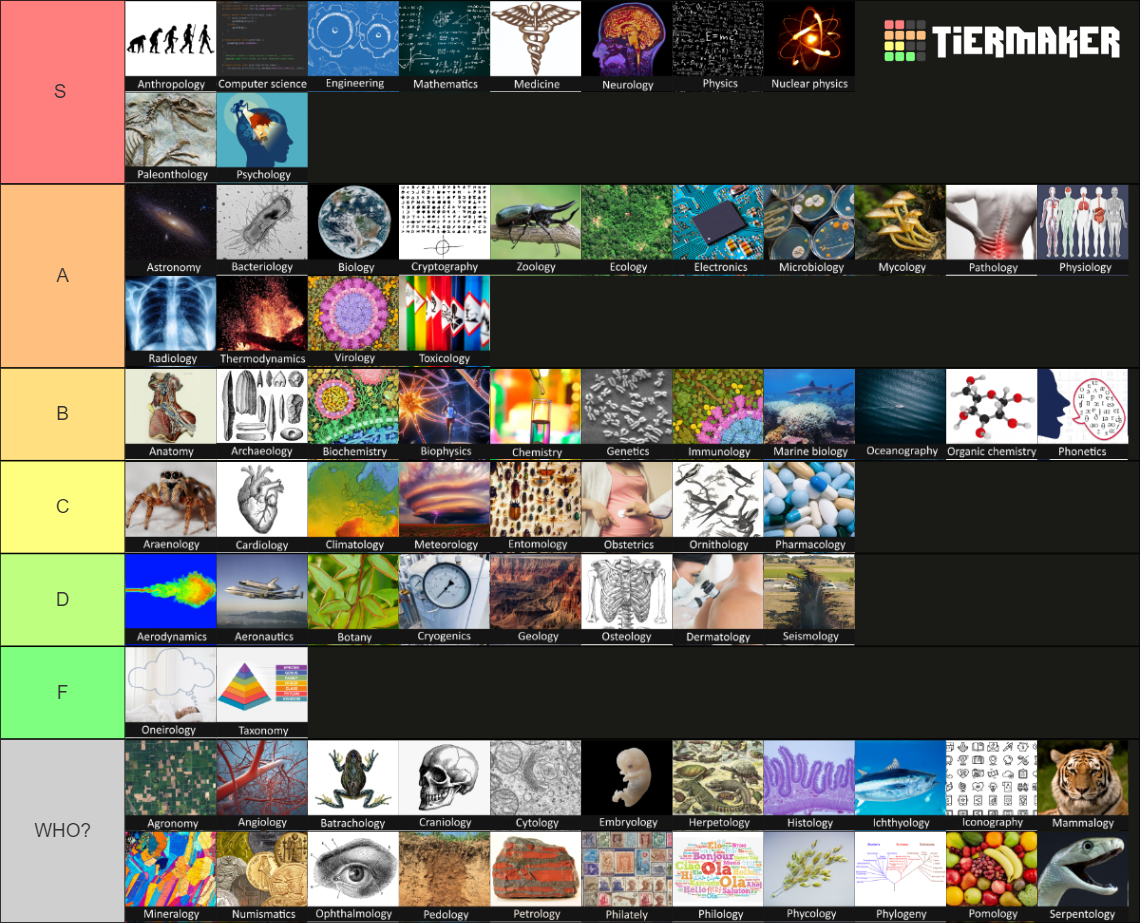 Branches of science Tier List (Community Rankings) - TierMaker