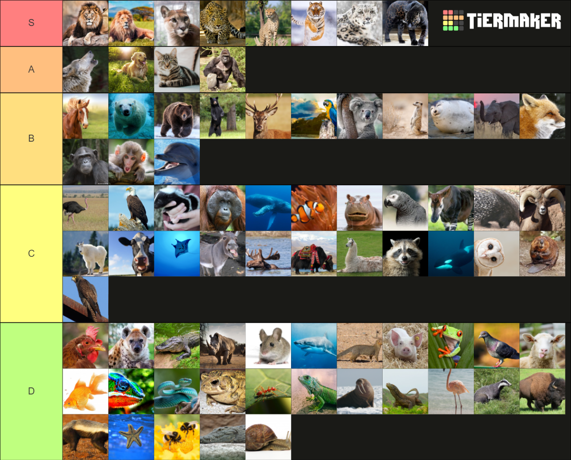 Animal Kingdom Tier List (Community Rankings) - TierMaker