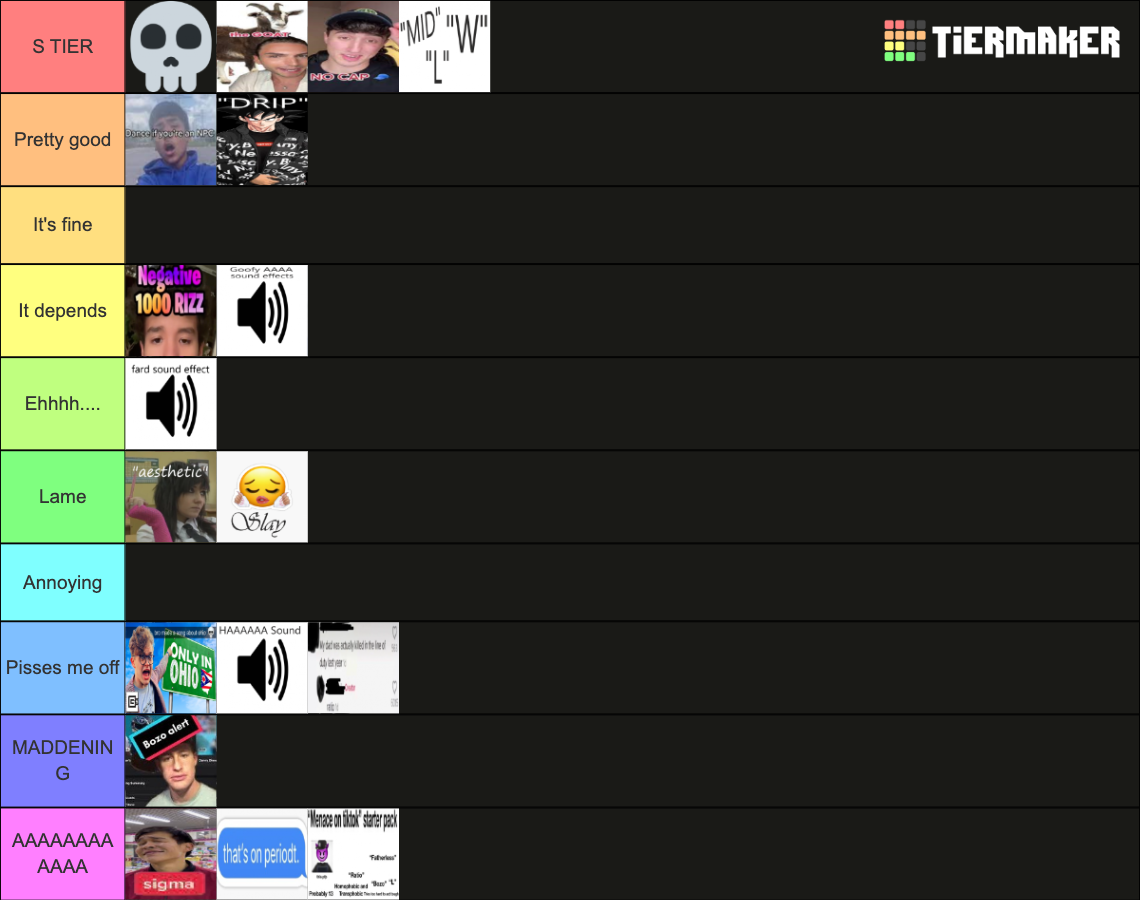 Gen Z Slang/Memes that are considered overused and annoying Tier List ...