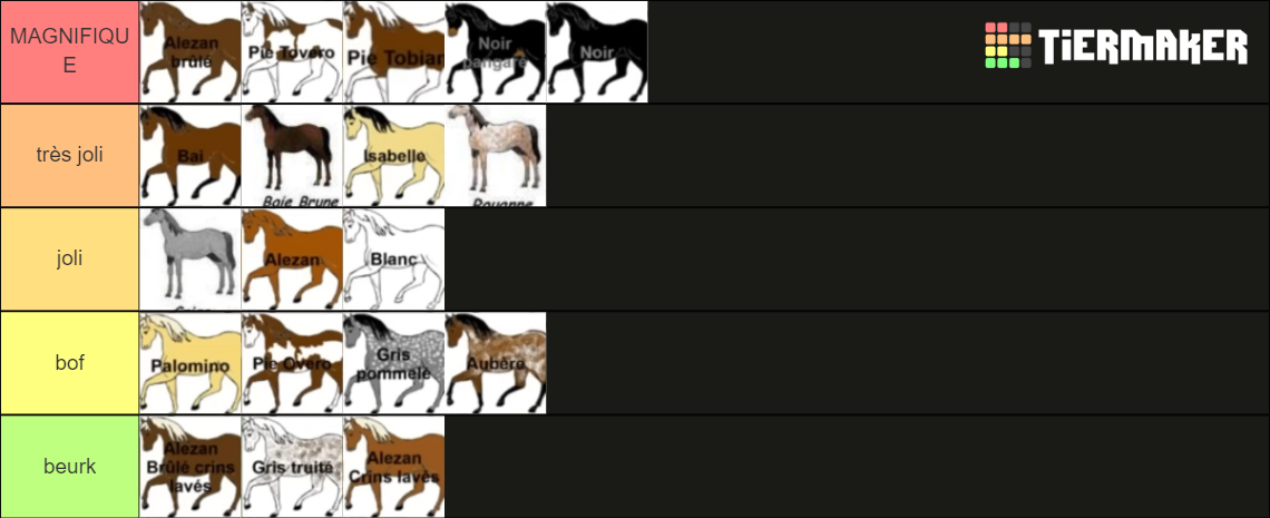 Robe Chevaux Tier List (Community Rankings) - TierMaker