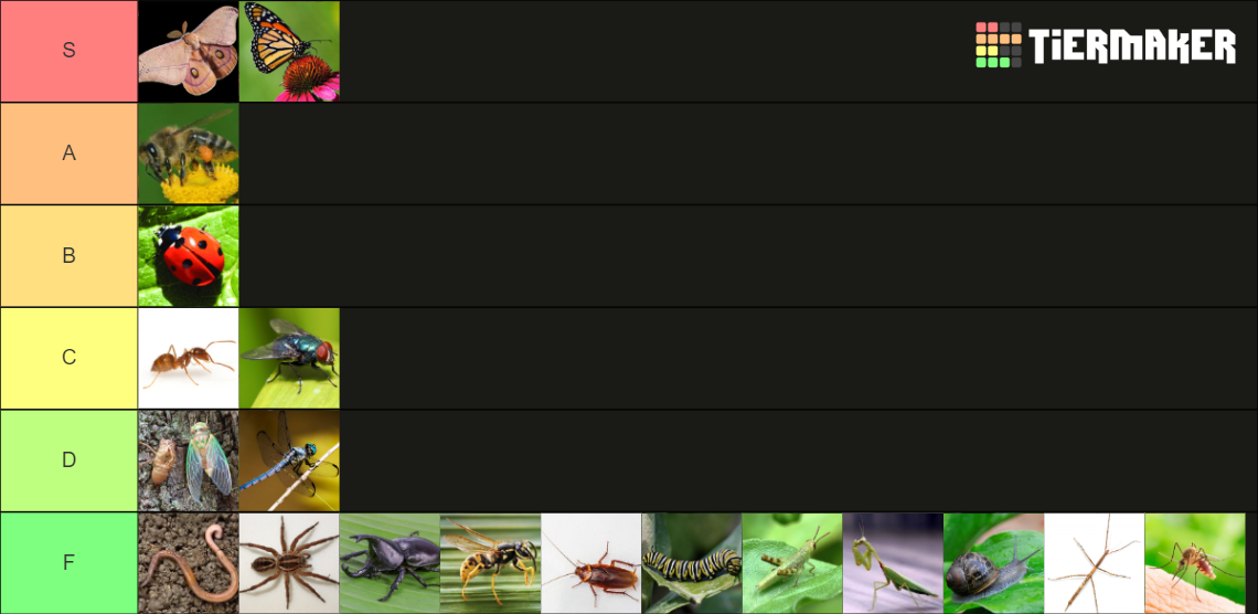 BUG Tier List (Community Rankings) - TierMaker