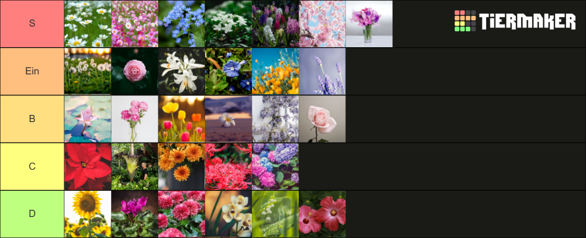 (Popular) Flowers Tier List (Community Rankings) - TierMaker