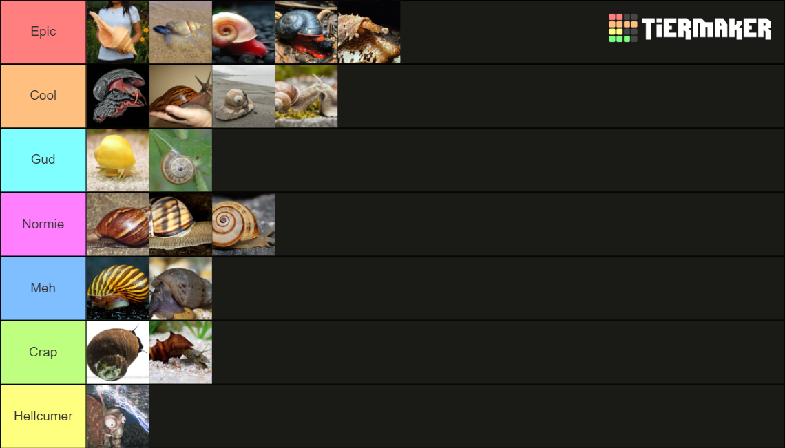 Top snails Tier List (Community Rankings) - TierMaker