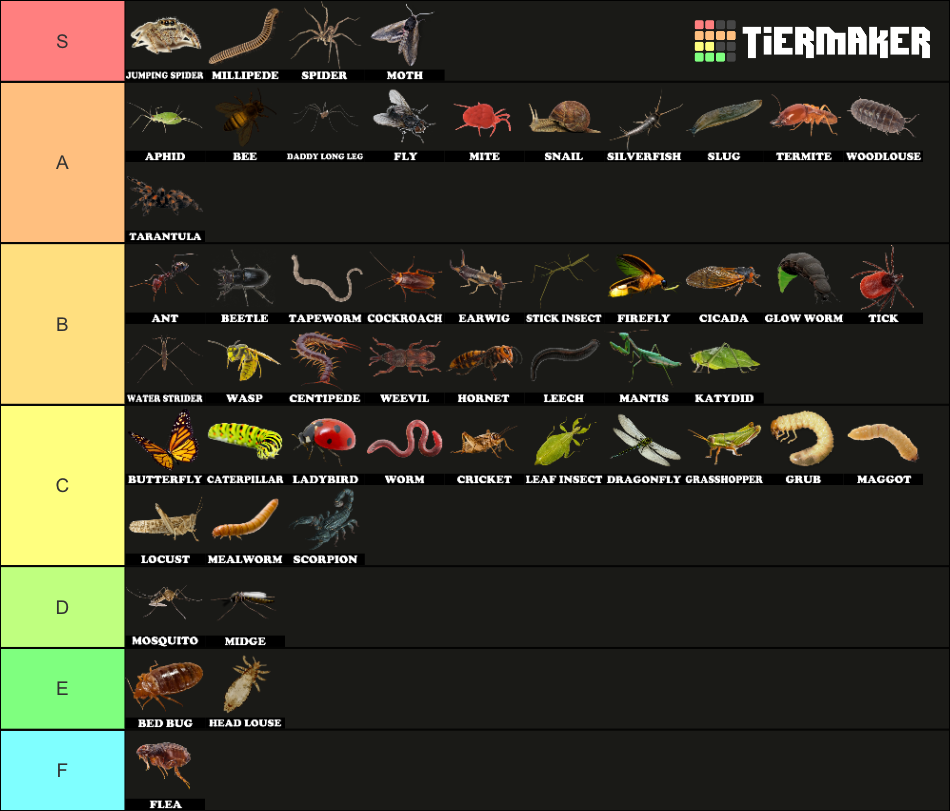 Insects, Bugs And Arachnids Tier List (Community Rankings) - TierMaker