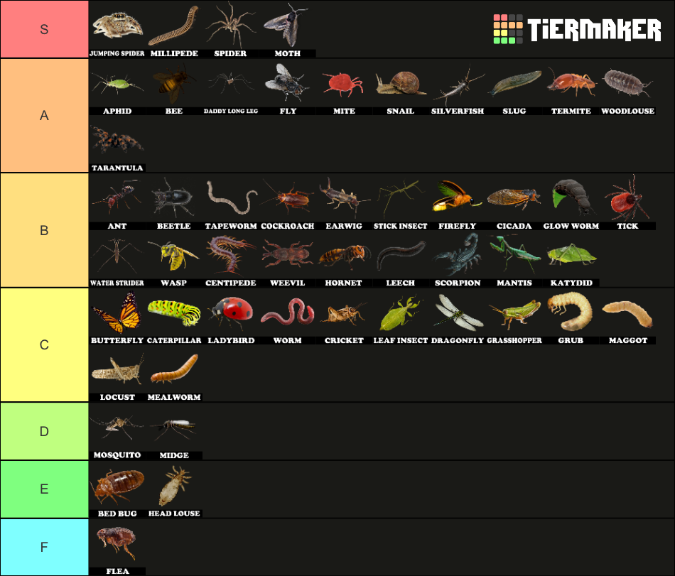 Insects, Bugs And Arachnids Tier List (Community Rankings) - TierMaker