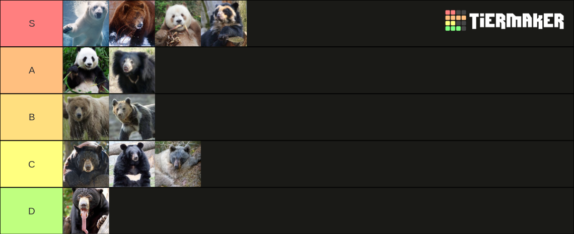 Bear Species Tier List (Community Rankings) - TierMaker