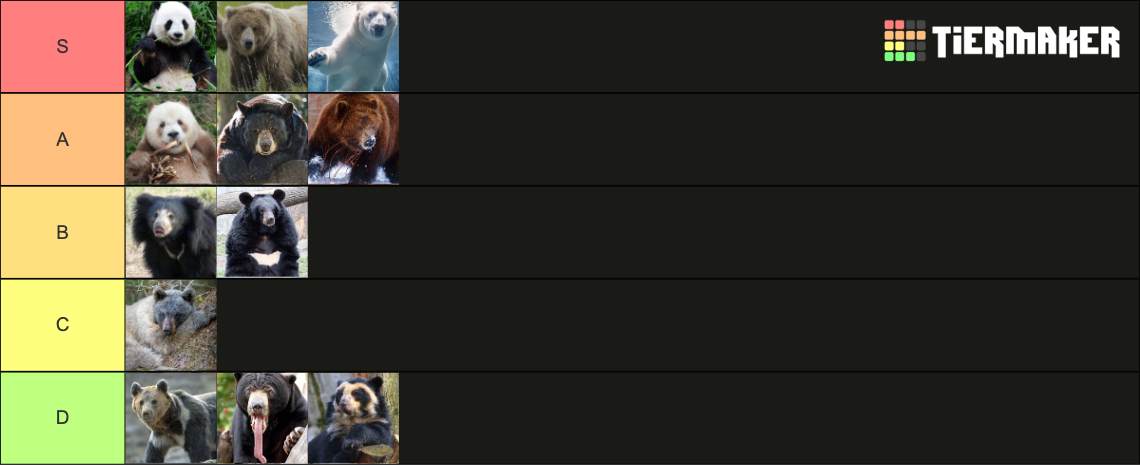Bear Species Tier List (Community Rankings) - TierMaker