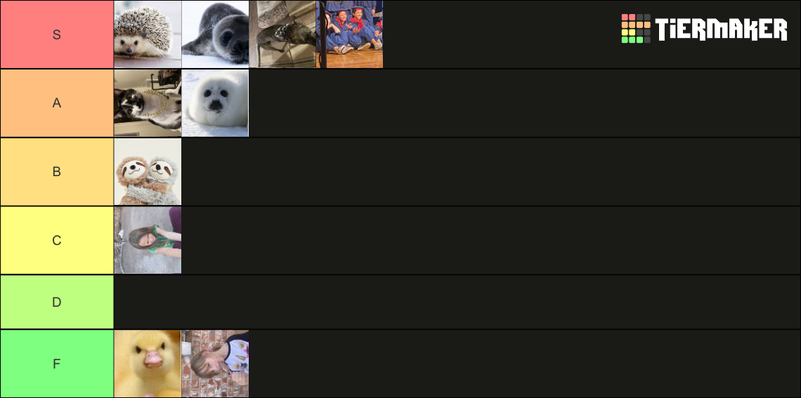 Cutest things Tier List (Community Rankings) - TierMaker