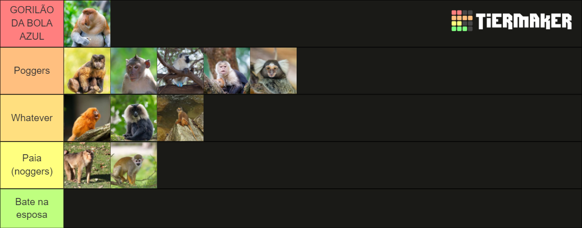 Monkey Monkey Monkey Tier List (Community Rankings) - TierMaker