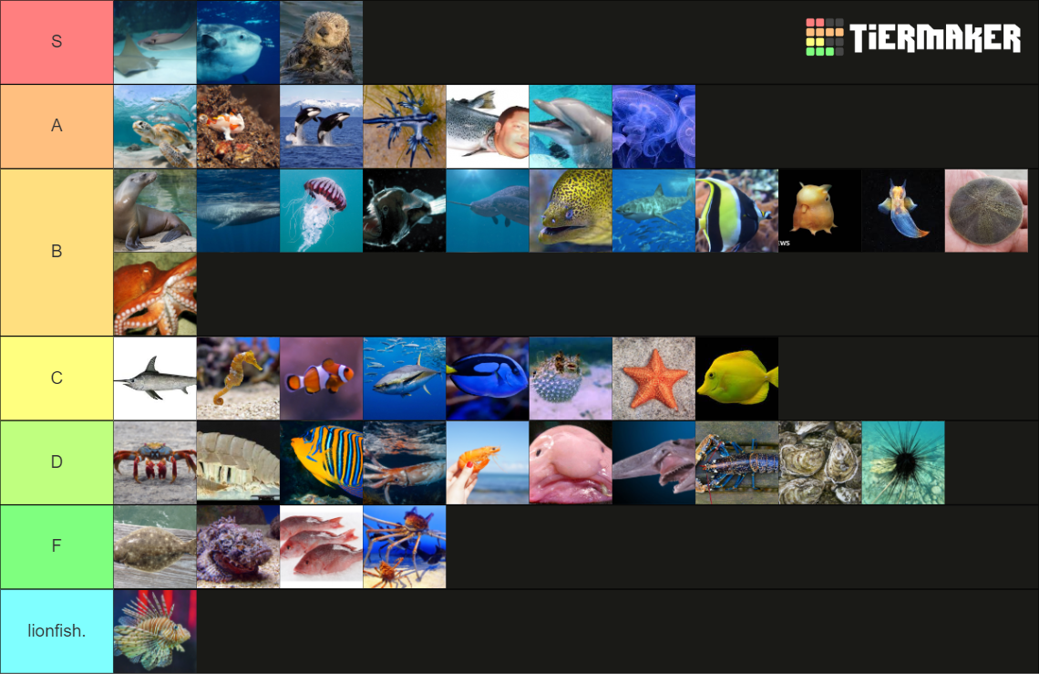 Aquatic Animals As Hell!!!!! Tier List (Community Rankings) - TierMaker