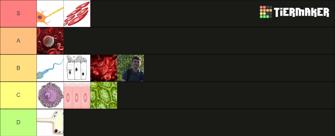 Cells bio Tier List (Community Rankings) - TierMaker