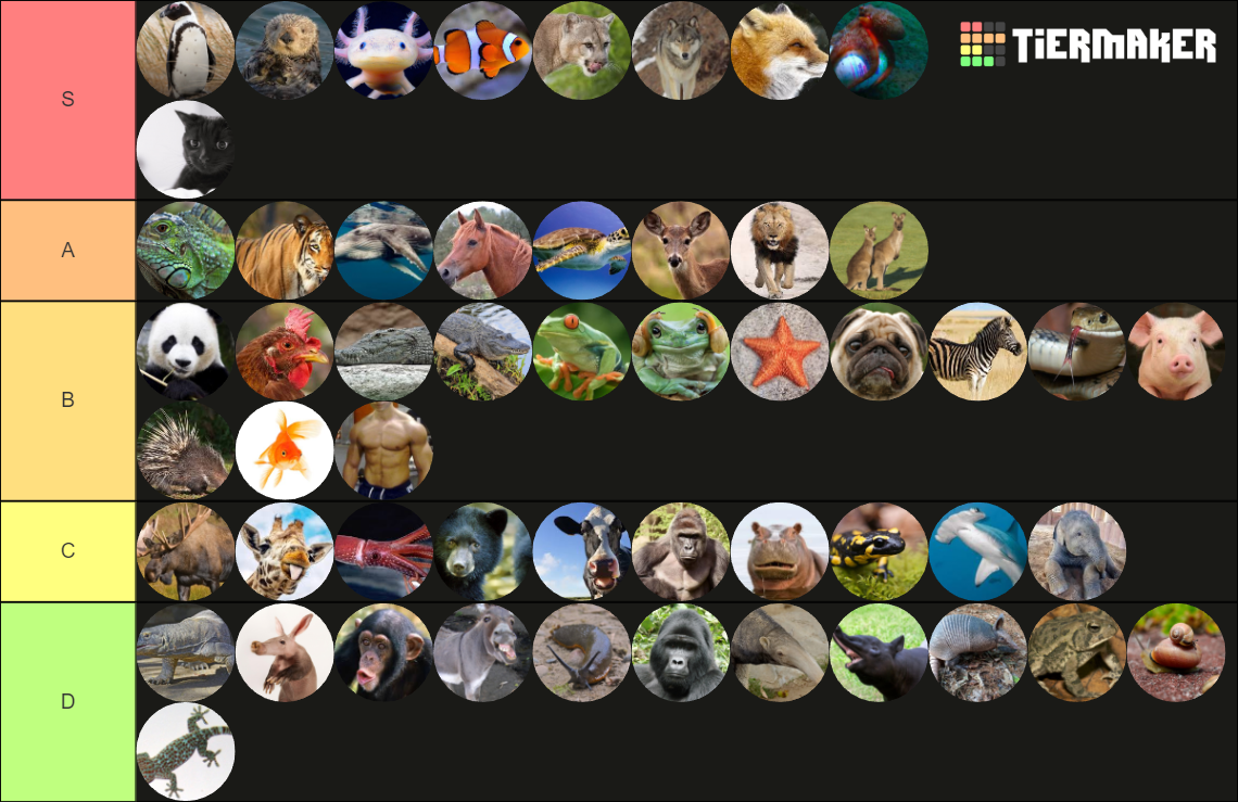 Animals Tier List (Community Rankings) - TierMaker