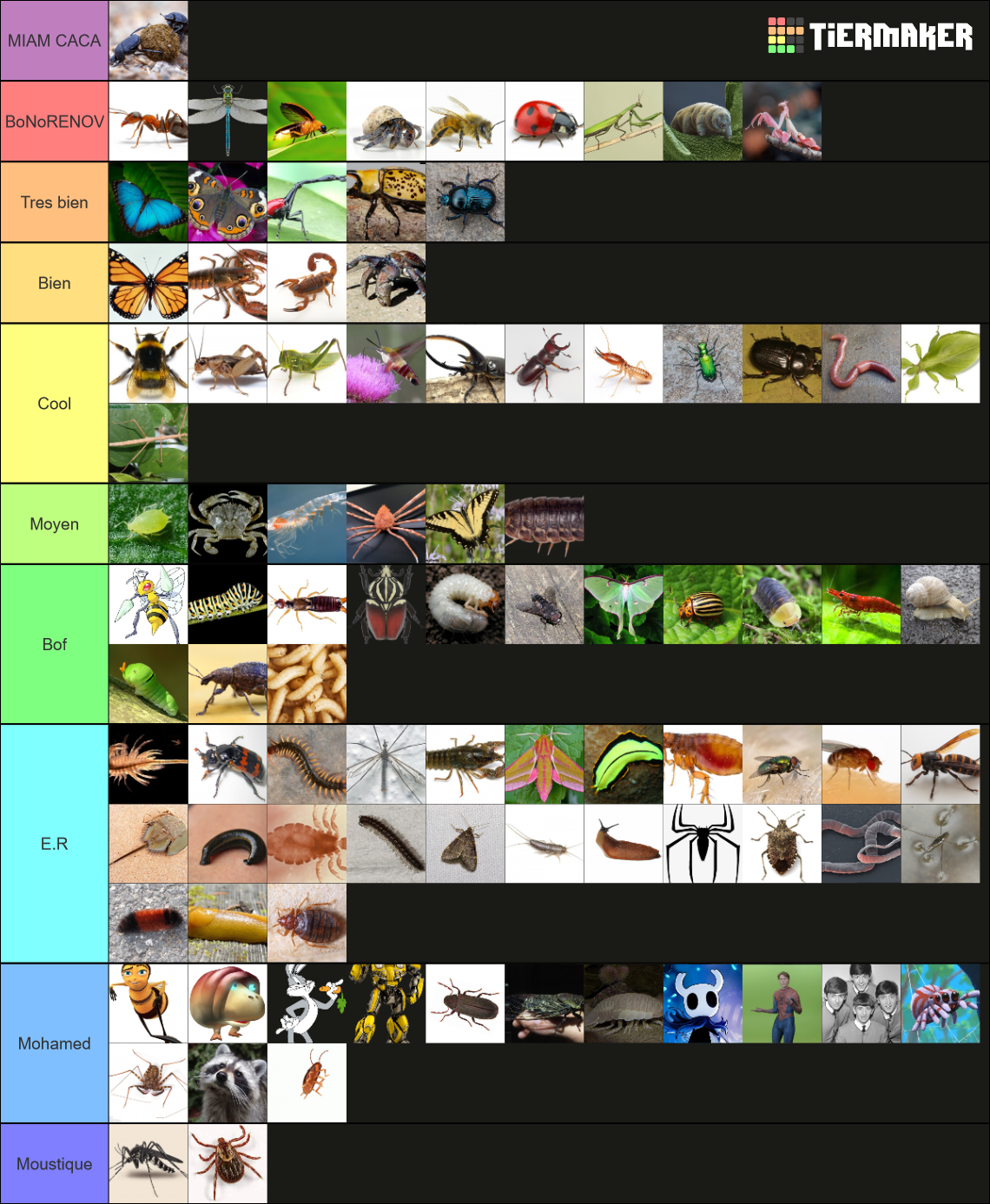 bug (improved) Tier List (Community Rankings) - TierMaker