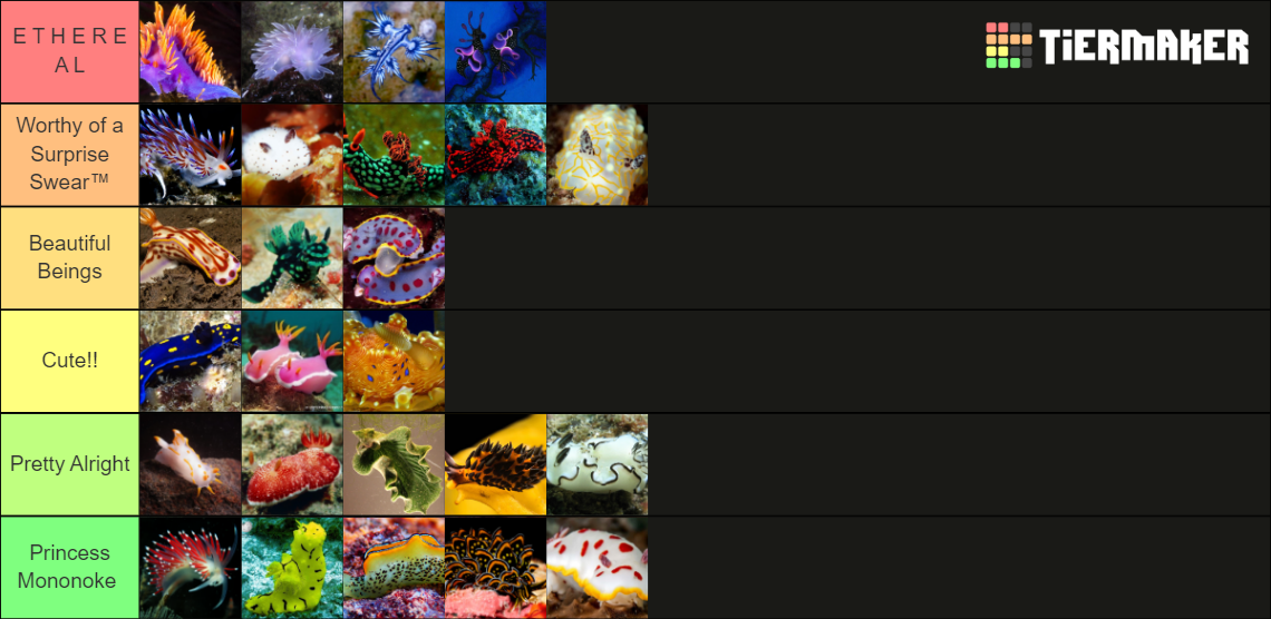 Sea Slug Superiority Tierlist Tier List (Community Rankings) - TierMaker