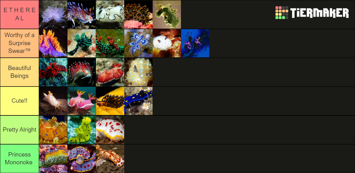 Sea Slug Superiority Tierlist Tier List (Community Rankings) - TierMaker