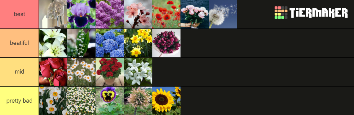 Flowers Tier List (Community Rankings) - TierMaker
