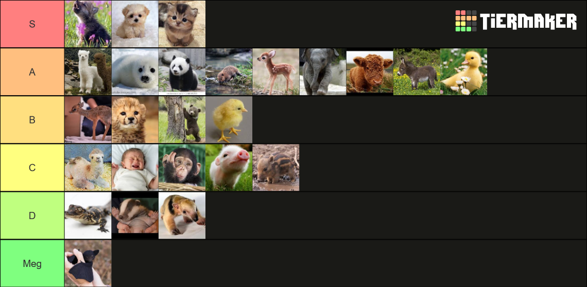 Cute baby animals Tier List (Community Rankings) - TierMaker
