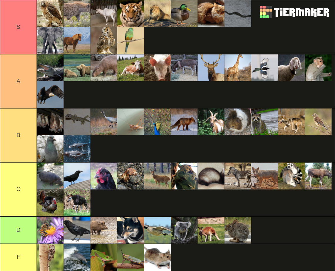 Animal Sounds Tier List (Community Rankings) - TierMaker