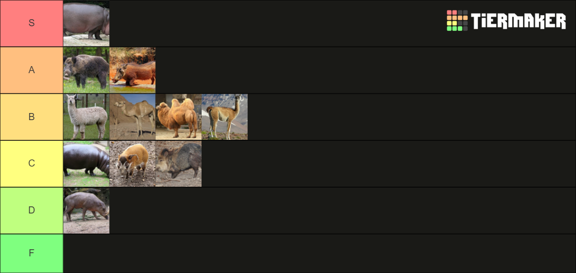 Artiodactyls (Not Ruminants) Tier List (Community Rankings) - TierMaker