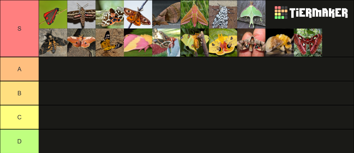 Moth Tier List (Community Rankings) - TierMaker